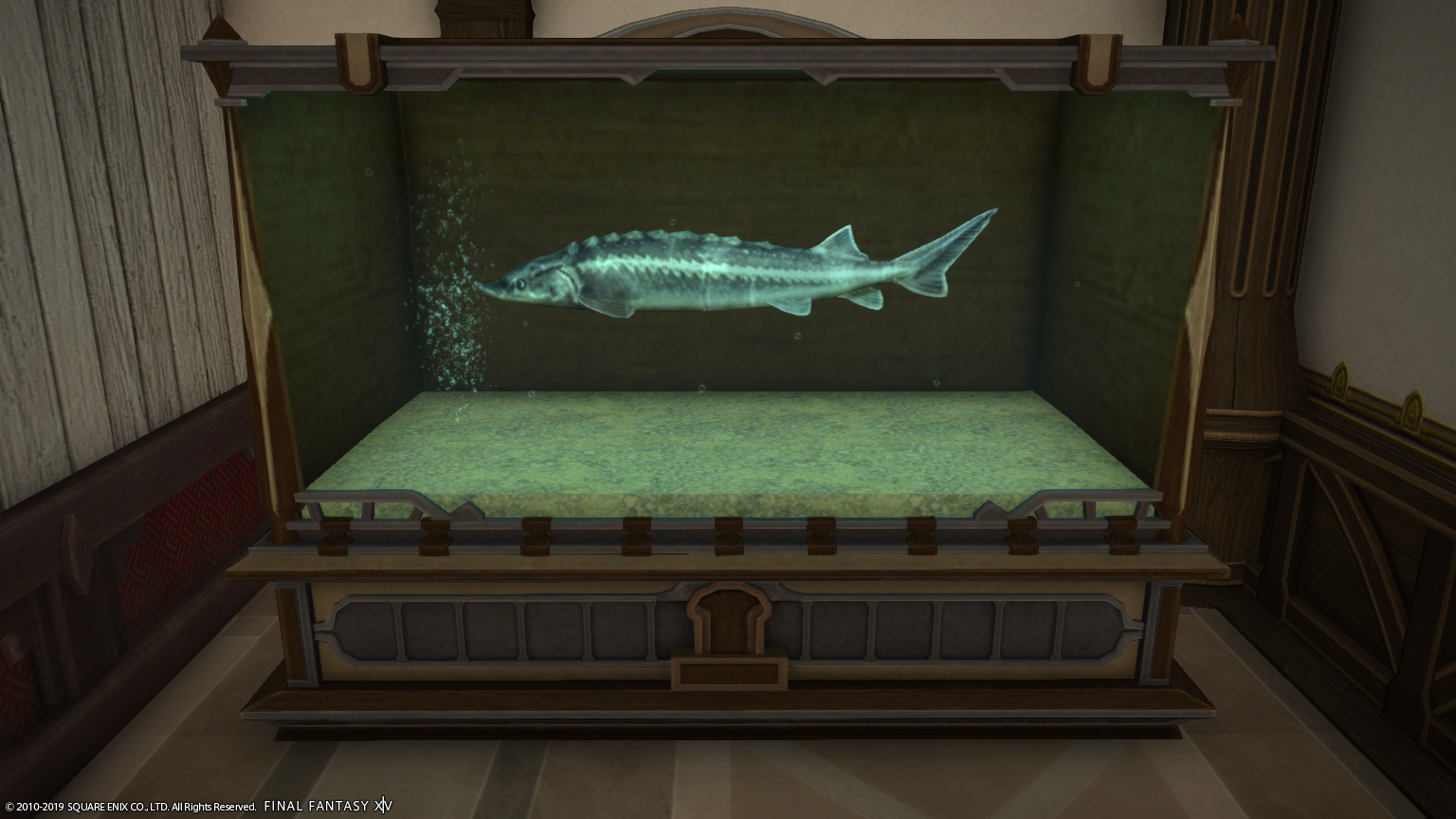 Emperor Fish – Aquarium