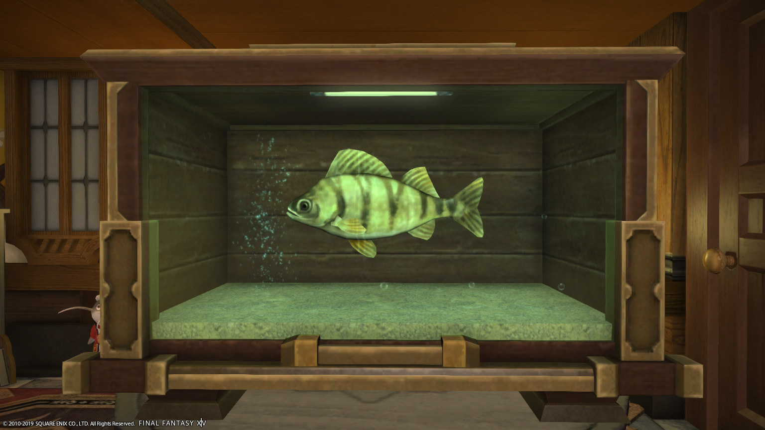 High Perch – Aquarium