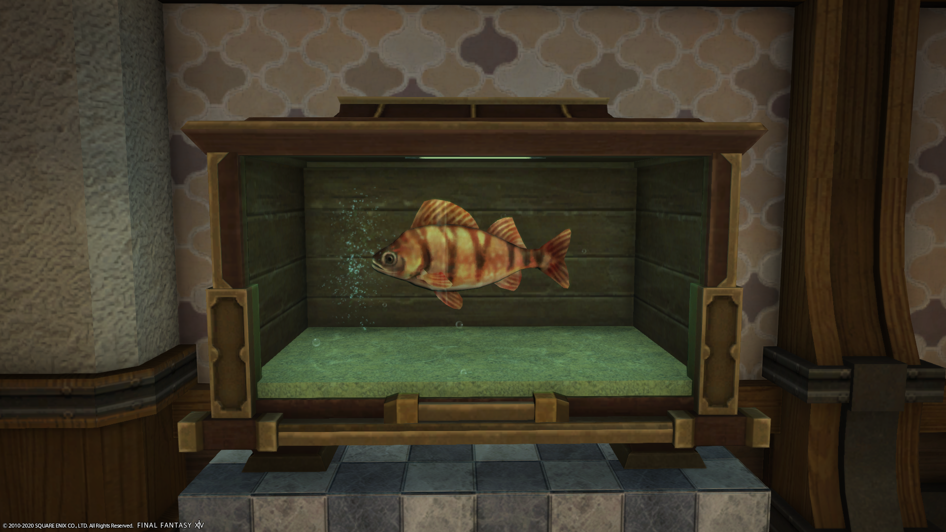 Highland Perch – Aquarium