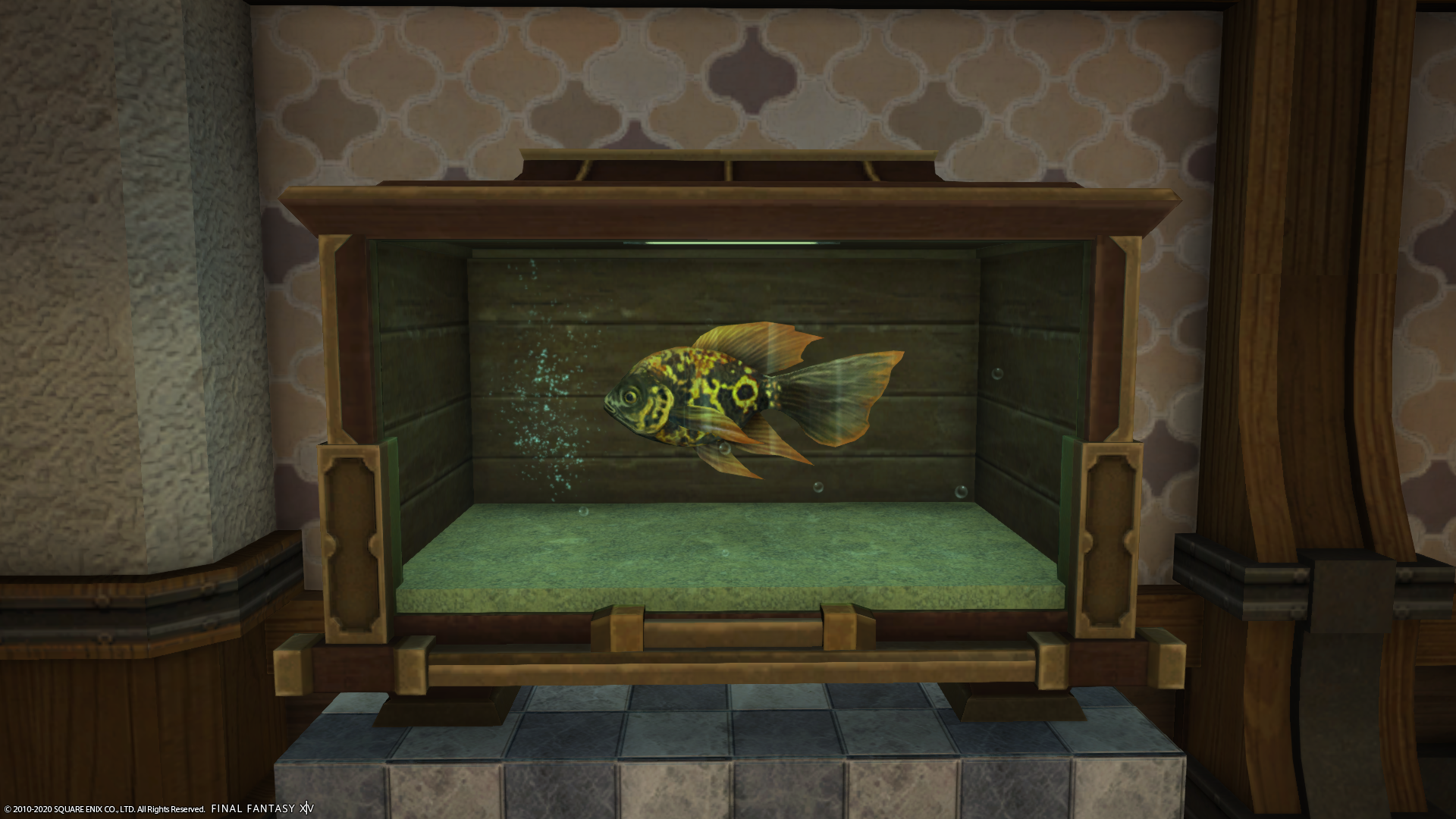 Marble Oscar – Aquarium