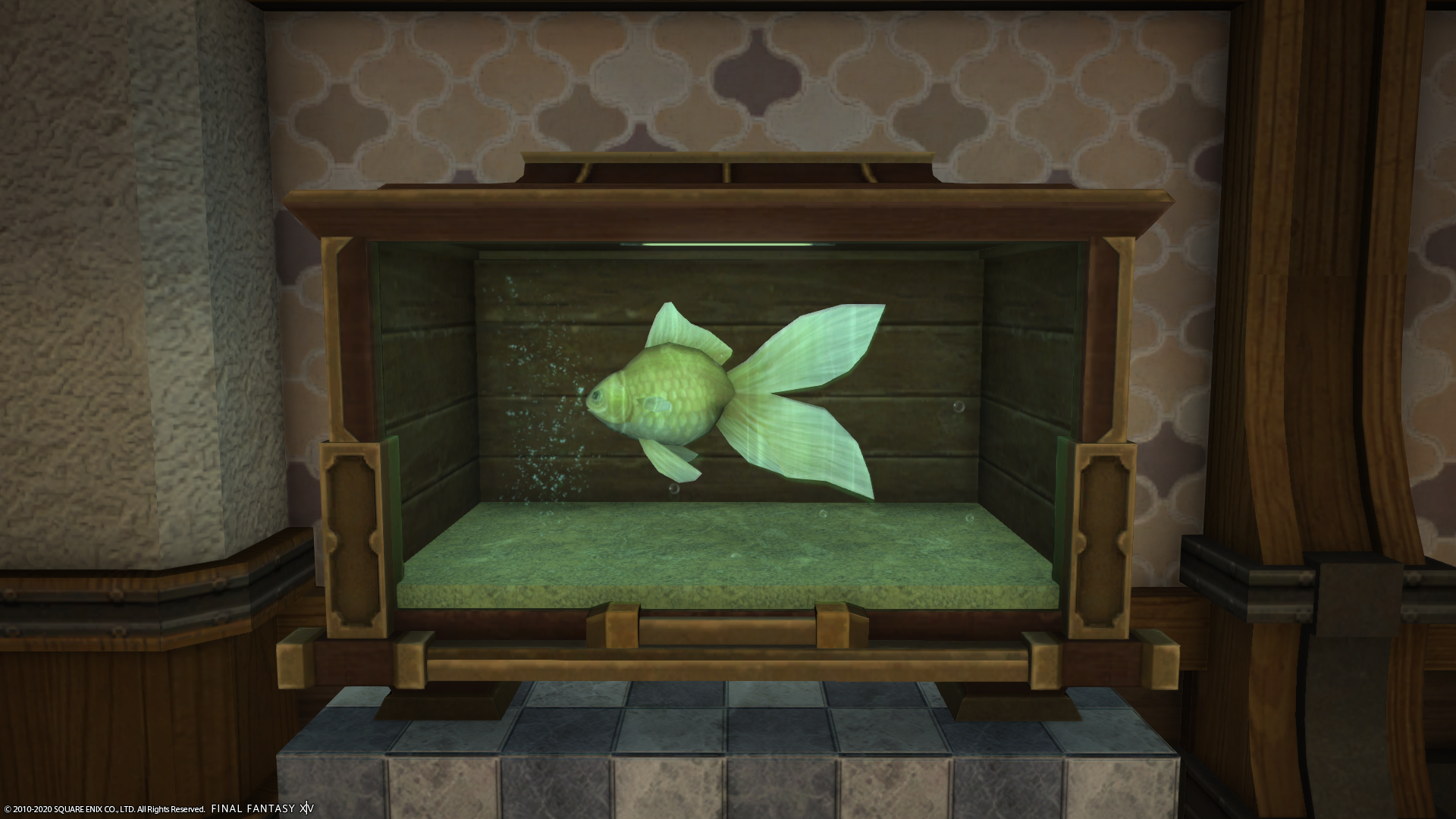 Mirrorscale – Aquarium